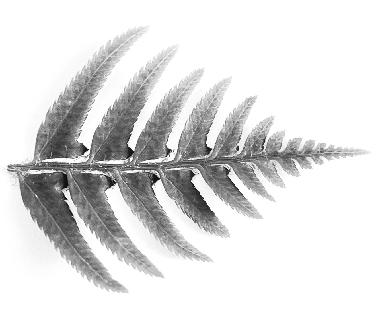 Photos and Images I Connect With – Angela Marston Art & Design